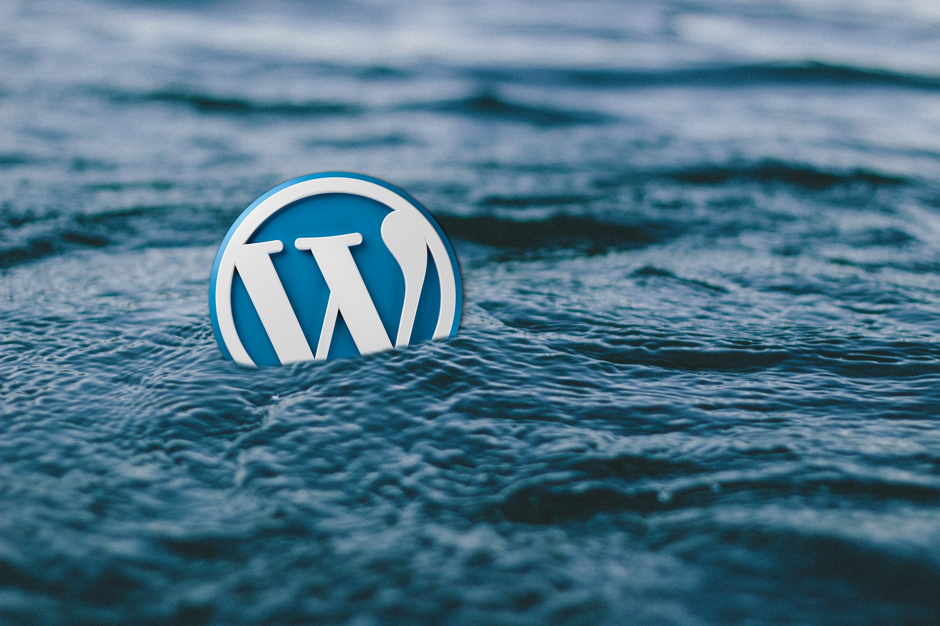 WordPress Logo Veranderen Zo Kun Je Dat Makkelijk En Snel Doen 